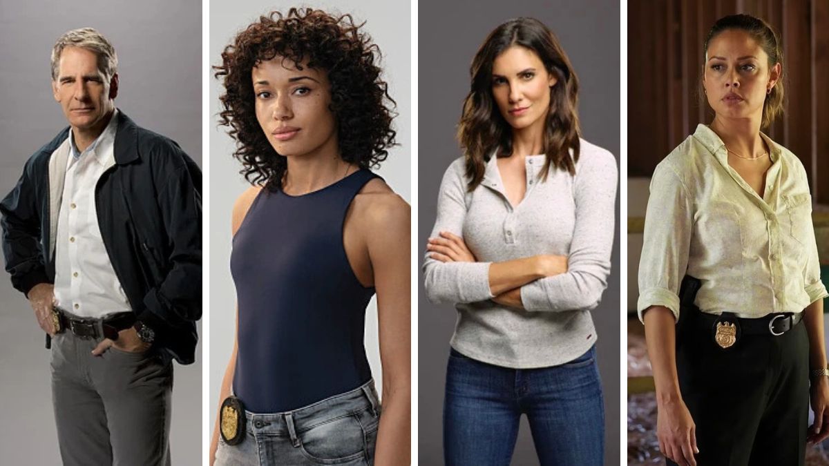 'NCIS' Delivers First Franchise 5-Way Crossover - Fangirlish